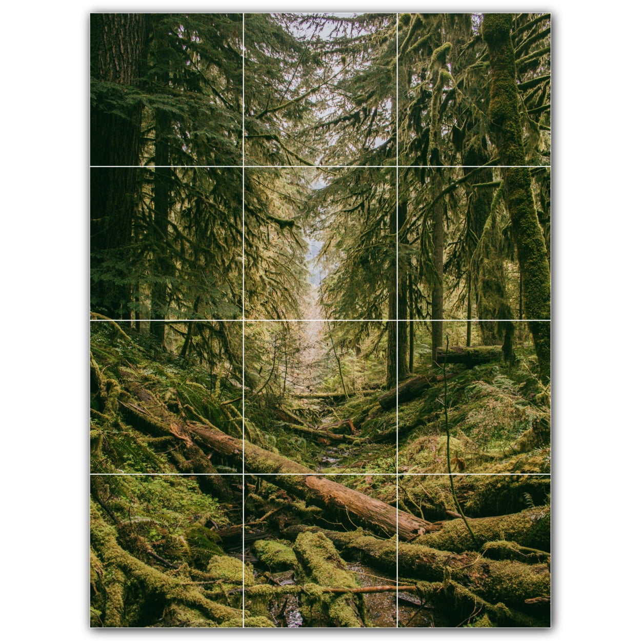 Picture-Tiles.com: Trees Ceramic Tile Wall Mural WAL501046-34L. 24"W x ...
