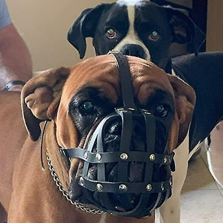 New Light leather Dog Muzzle for Boxer and Other dogs with short snout ...