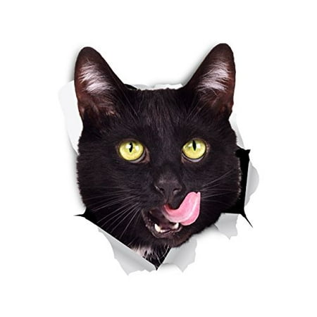 Winston & Bear 3D Cat Stickers | 2 Pack | Hungry Black Cat Decals for ...