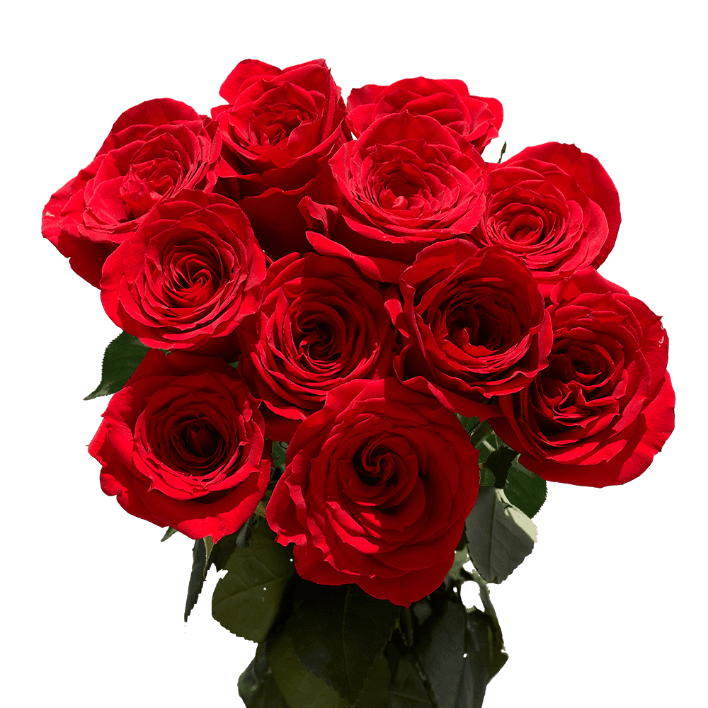 One Dozen Red Roses- Fresh Flower Delivery - Walmart.com