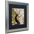 Trademark Fine Art "Under a Japanese Maple 2" Canvas Art by Kurt ...