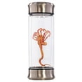 Alien Critter Embryo in Jar Glass Bottle with Display Box 8 ...