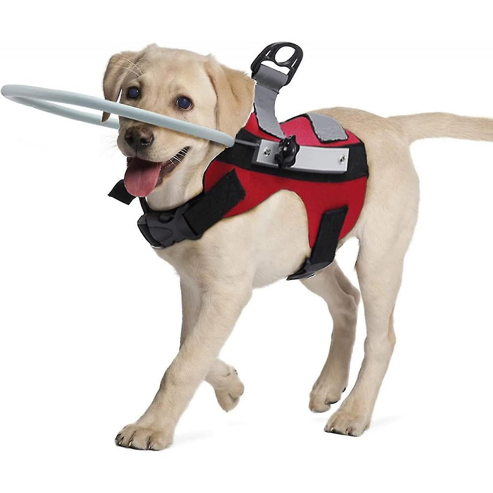 Blind Dog Harness Guiding Device,blind Dog Halo,pet Anti-collision Ring ...