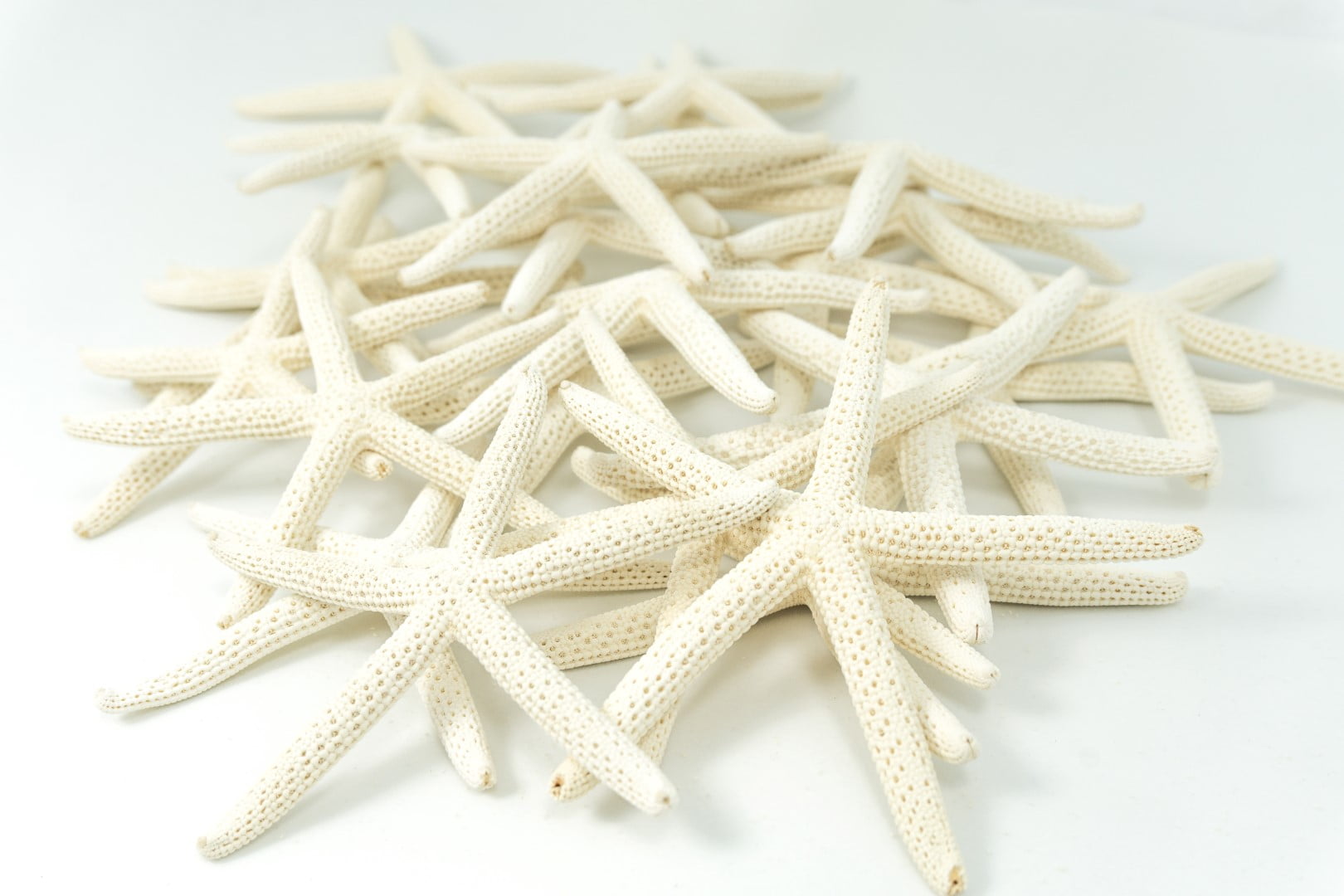 Starfish | 24 White Finger Starfish 3"-4" | Home Decor Art & Crafts ...