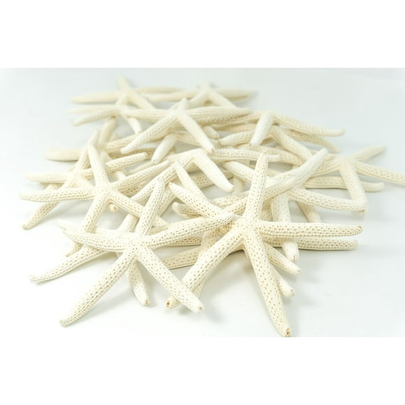 Artificial Starfish Crafts