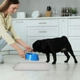 COMPUKAS Plastic Litter Tray Odor Resistance Dark Grey for Garden Use ...