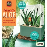 Unique Gardener - Mini Desertscape - Indoor Micro-Gardening Kit ...