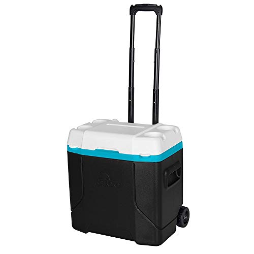 PROFILE 30 ROLLER - Walmart.com