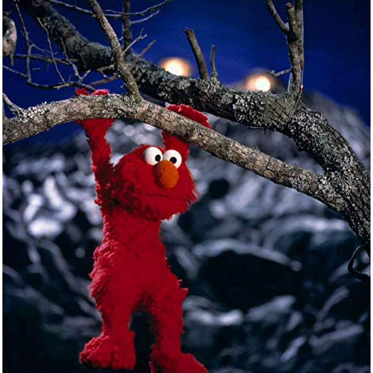 The Adventures Of Elmo In Grouchland