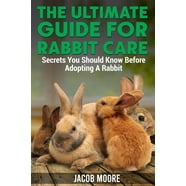 Pet Friendly: Dwarf & Mini Rabbits. (Paperback) - Walmart.com