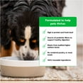 Open Farm Grass-Fed Beef Grain-Free Dry Dog Food, 4 lbs - Walmart.com