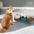 Kchsji Two-In-One Pet Bowl, Raised Water and Food Station, Non-Slip ...