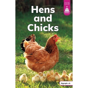 Little Chick (Board book) - Walmart.com