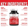 Focus 8 Mushroom Supplement by GoBiotix | Brain Booster | Immune System ...