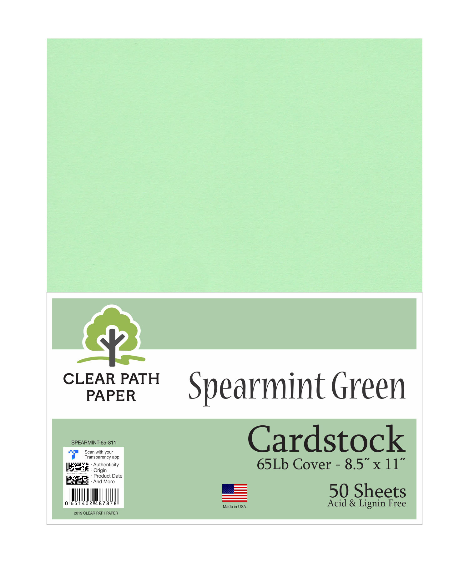 Spearmint Green Cardstock - 8.5 x 11 inch - 65Lb Cover - 50 Sheets ...