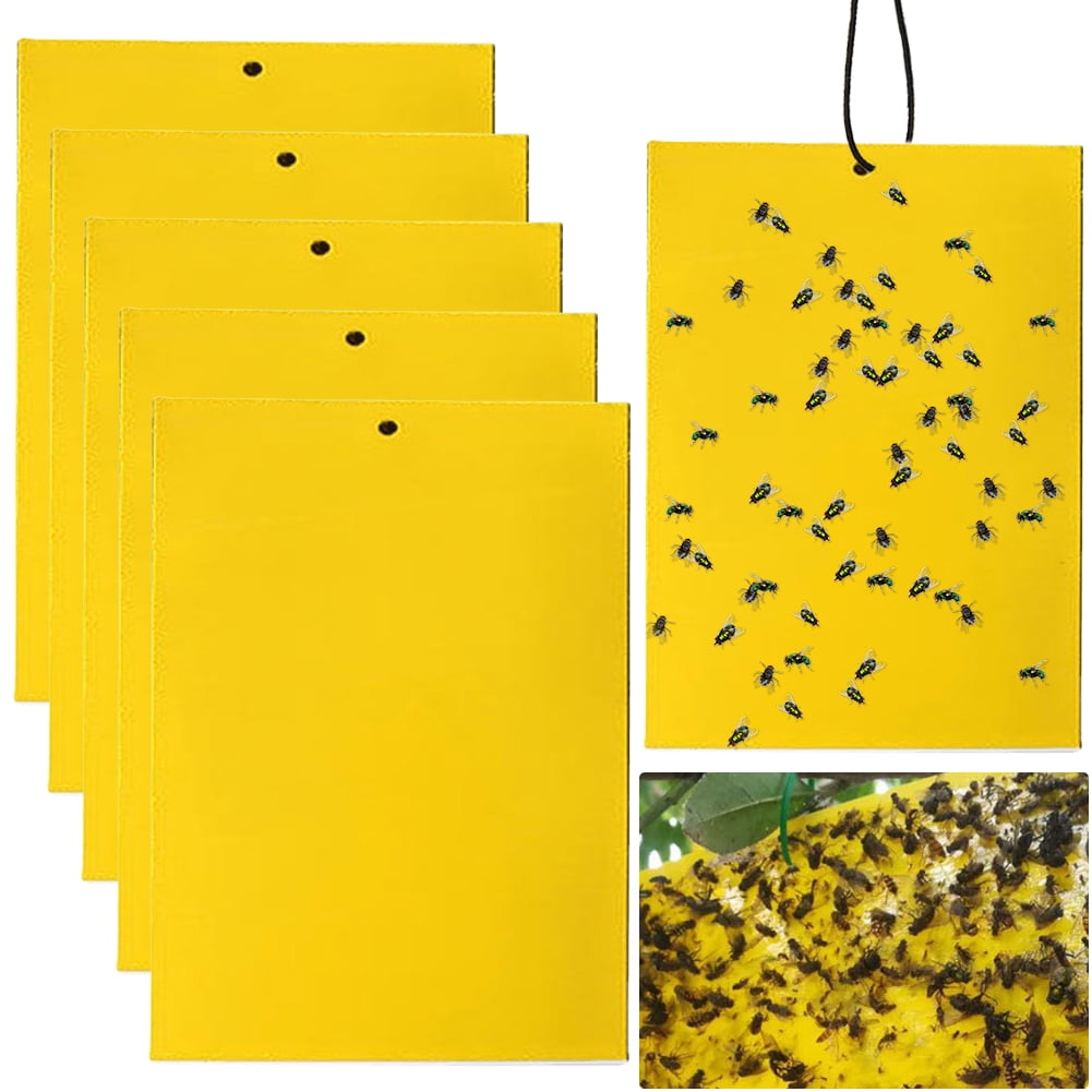 50 Uds Trampas Adhesivas Doble Cara 8x6 Pulgadas Trampas para Moscas La ...