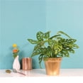 NEXAVKPR Mini Metal Flower Pot for Fresh Dried Floral Bucket Planter ...
