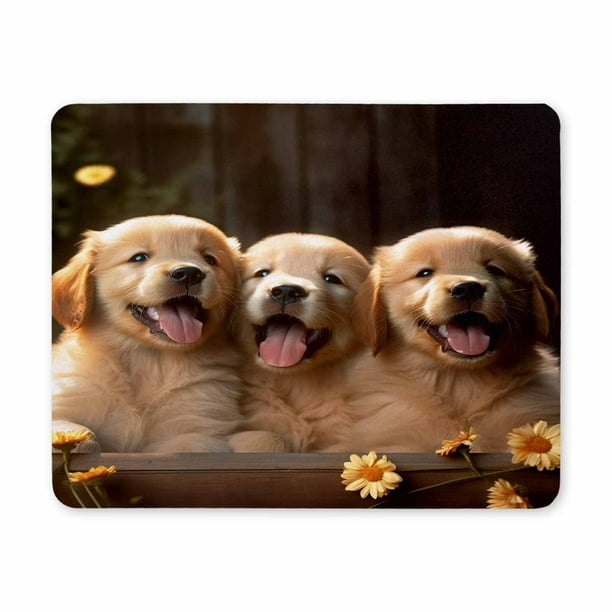 Cute Dogs Mouse pad, Golden Retriever Dogs Puppies Mousepad Non Slip ...
