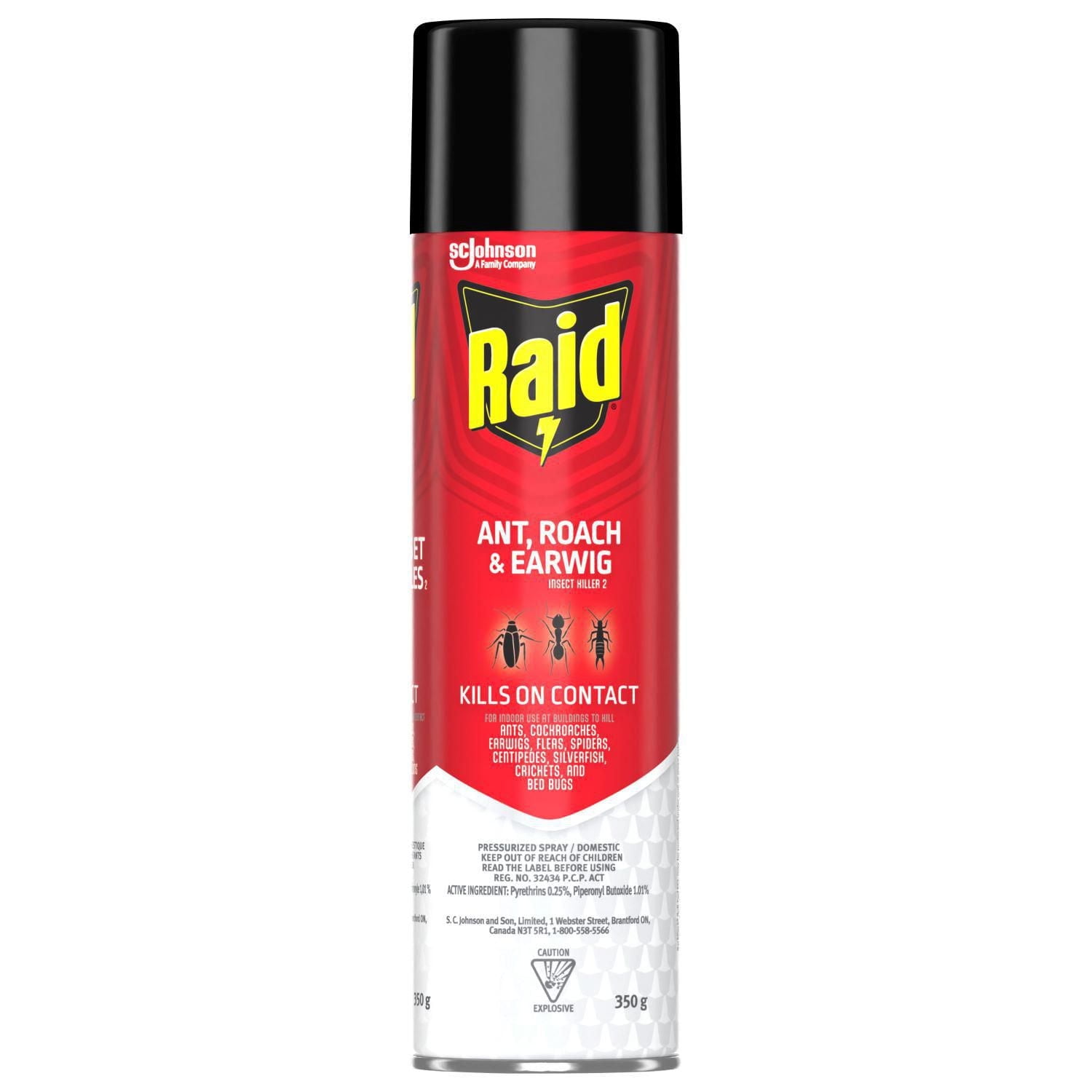 Click here for Raid Ant  Roach  And Earwig Insect Killer  For Ind... prices