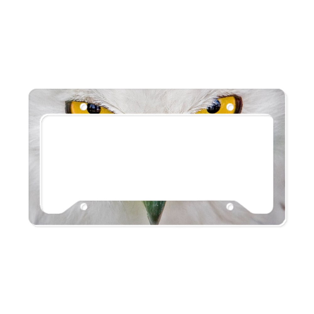 CafePress - Owl With Yellow Eyes License Plate Holder - Aluminum ...