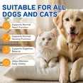 Taurine for Dogs and Cats Supports Healthy Vision, Heart, Immune System ...