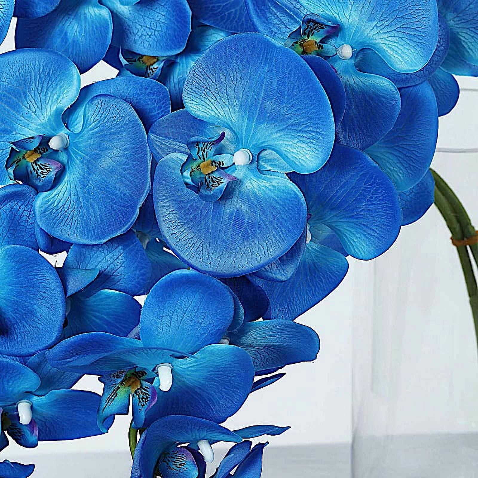 Blue Orchid Bouquet