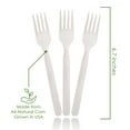Ecovita Eco-Friendly Disposable Forks 140 PCS Ivory White, 6.7 Inch ...
