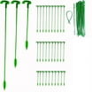 TSV 10pcs Plant Support Stakes, Single Stem Plant Sticks for Garden ...