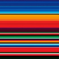 Siser EasyPatterns Plus HTV Iron on Heat Transfer Vinyl 12" x 75ft Roll ...