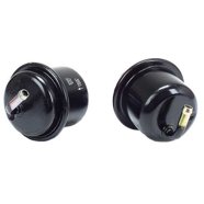 (2 pack) Acdelco Tp3018 Fuel Filter - Walmart.com