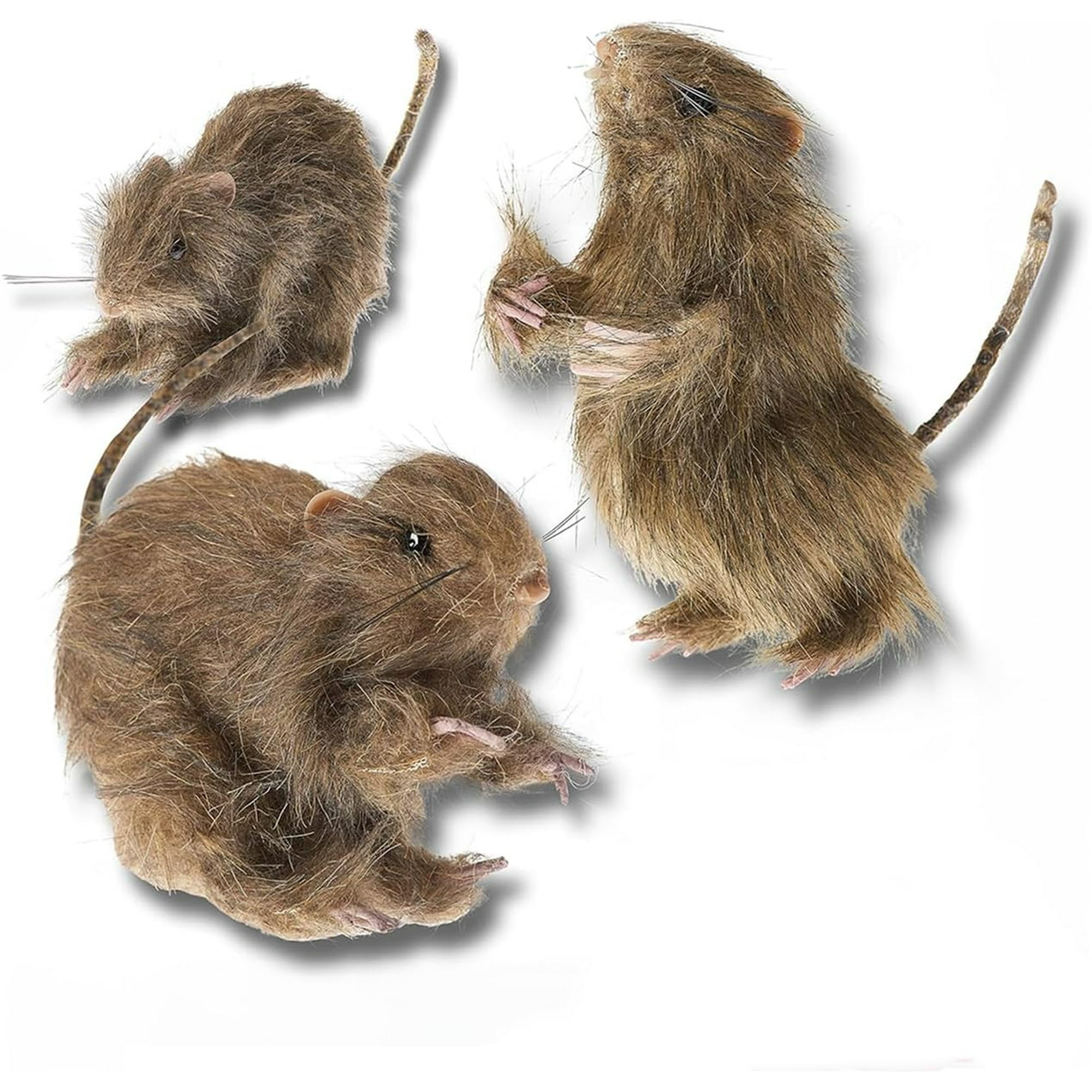Click here for Ld Seller Realistic Furry Fake Rats For Best Hallo... prices