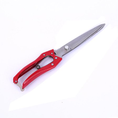Hand Shears For Gardening Or Sheep Shearing - Topiary/hedge Scissors ...