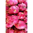 20 *Seeds PURPLE DRAGON FRUIT (Pitaya / Pitahaya / Strawberry Pear ...