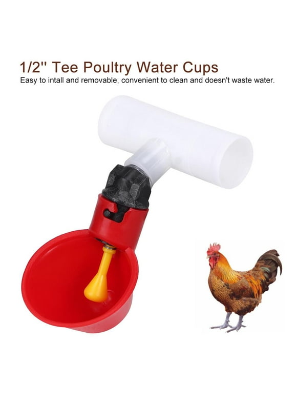 Chicken Waterers in Chickens - Walmart.com