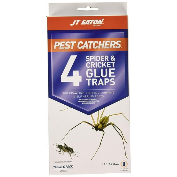 Spider Cricket Traps