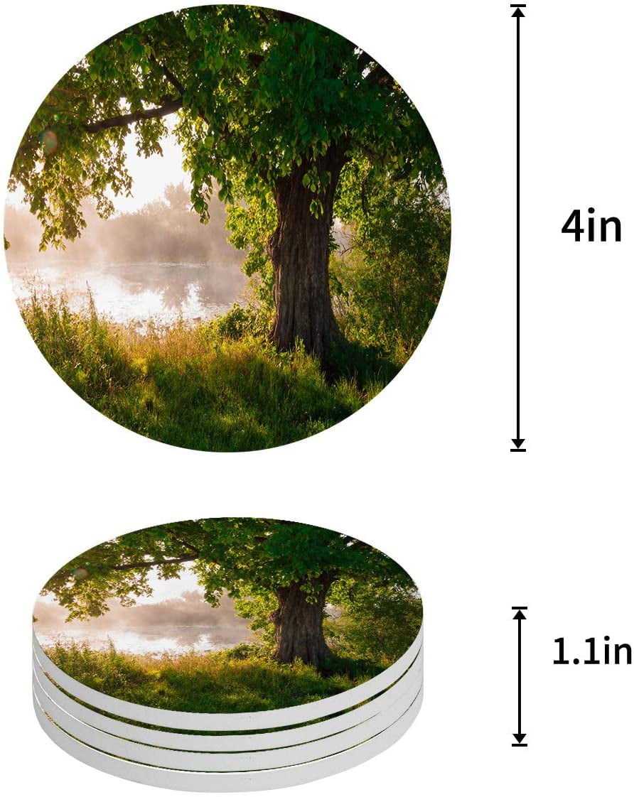 FMSHPON Green Tree Forest Woodland Spring Natural Scenery Art Print Set ...
