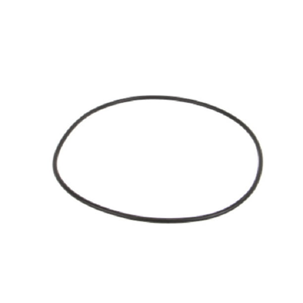 12719A Banjo EPDM Pump Body O-Ring For 2" & 3" Poly Pump - Walmart.com
