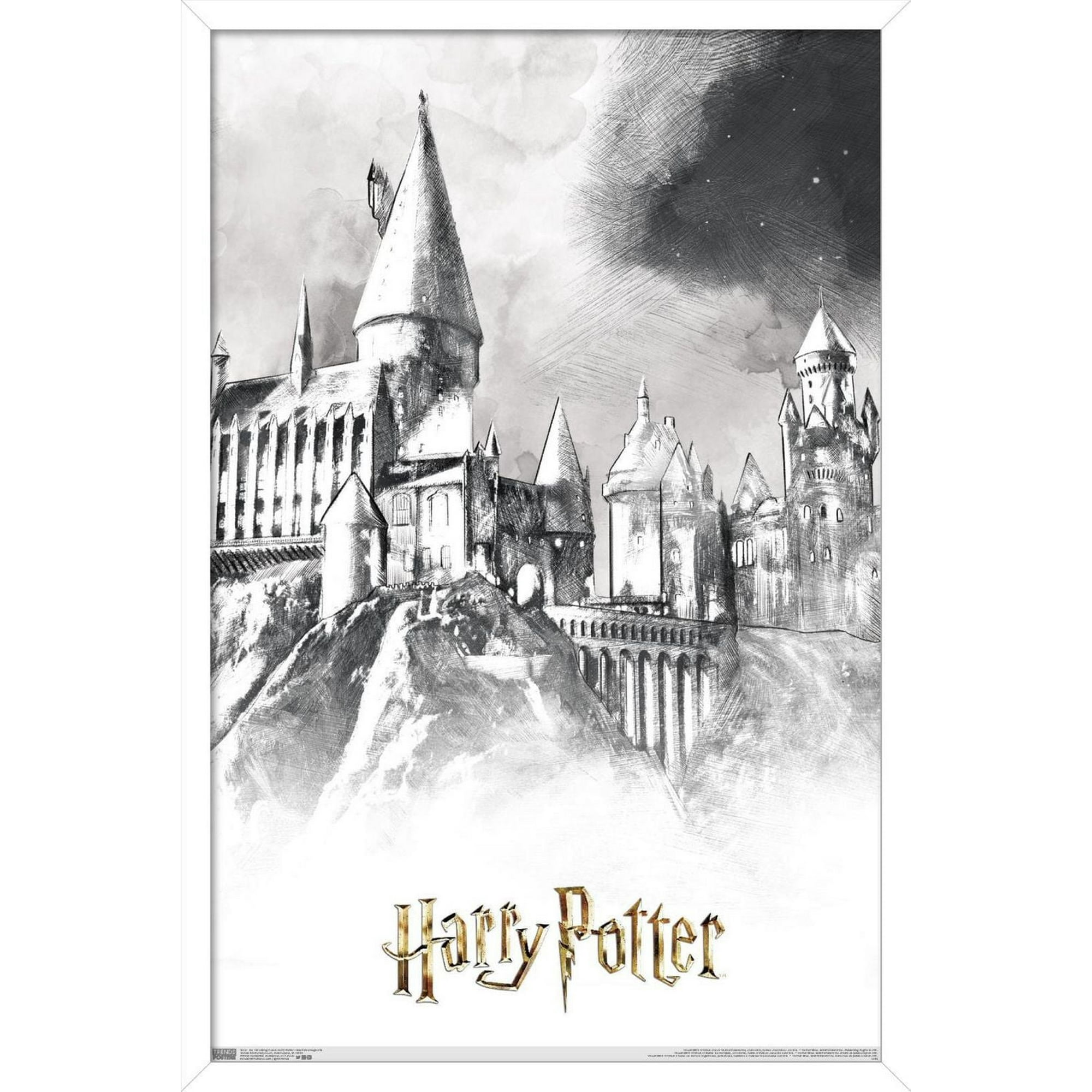 Click here for Trends International The Wizarding World: Harry Po... prices