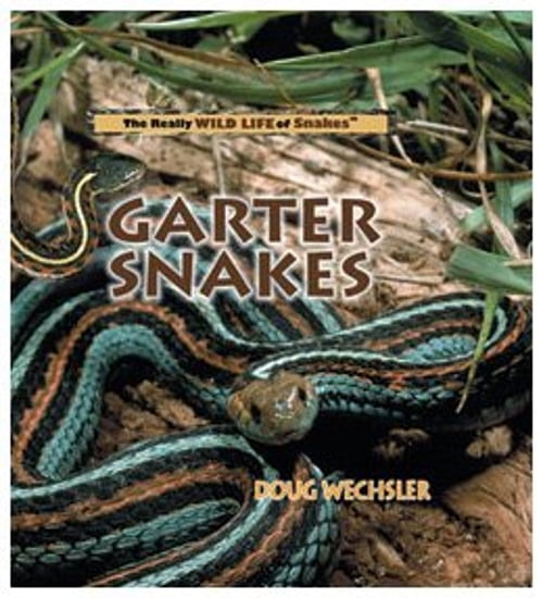 Pre-Owned Garter Snakes (Library Binding) 9780823956012 - Walmart.com