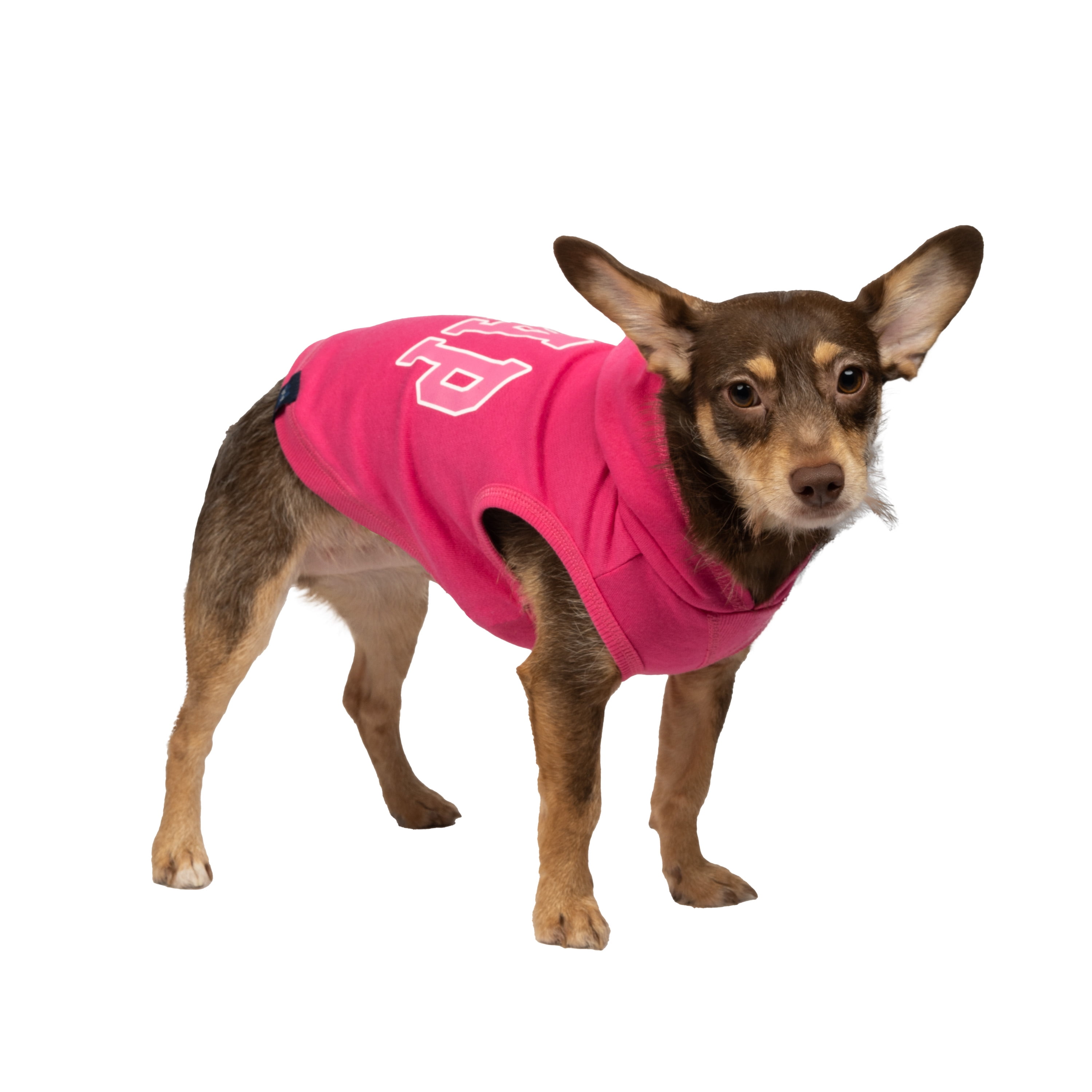 Gap Pet, Dog and Cat Clothes, Classic Logo Gap Dog Hoodie, Pink ...