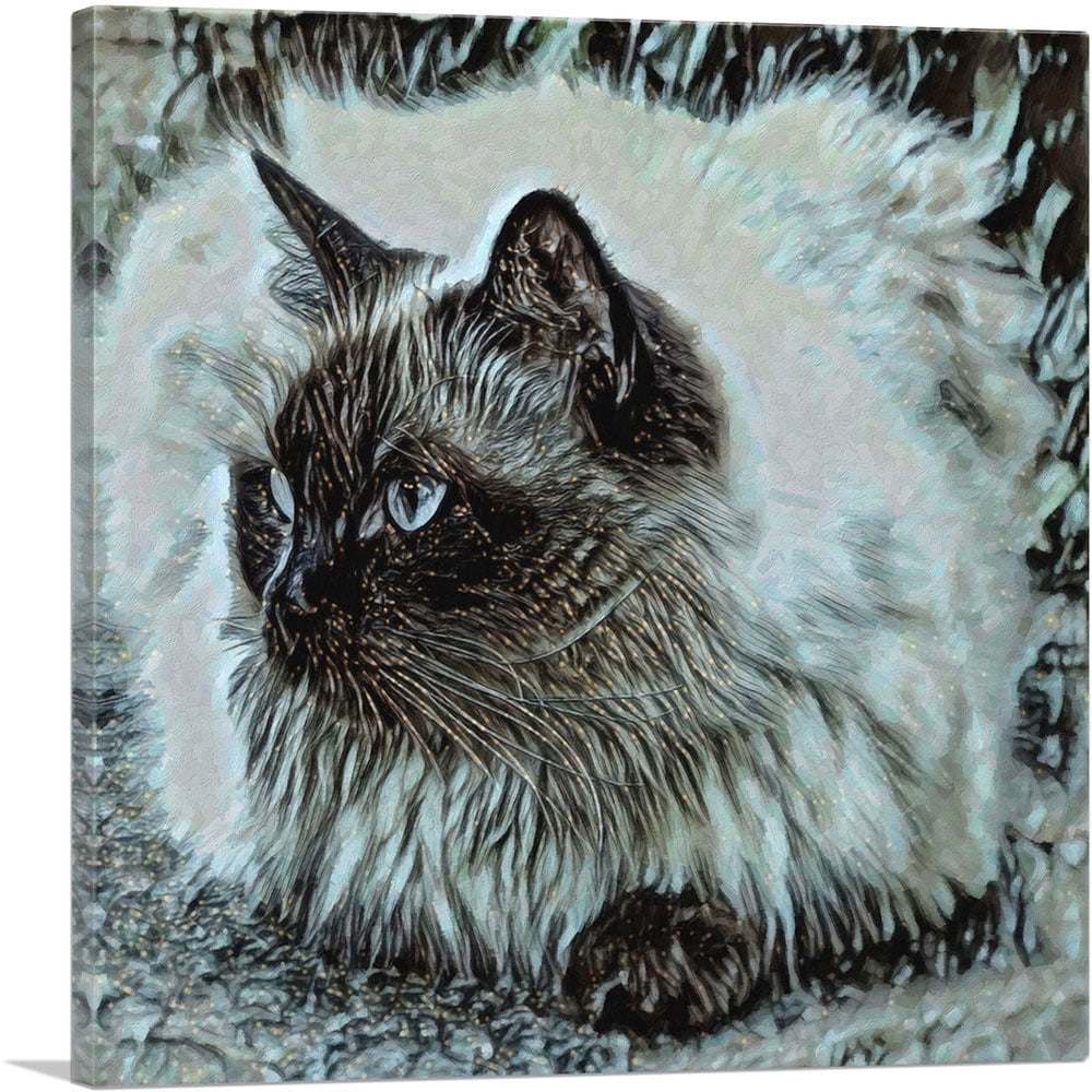 ARTCANVAS Himalayan Cat Breed Canvas Art Print - Size: 18" x 18" (1.50" Deep) - Walmart.com