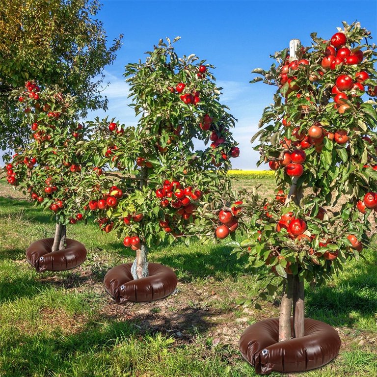 Fruit Tree Irrigation System Drip Irrigation For Pear Trees Irritec