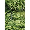 Orbit 180° Half Spray Pattern Shrub Head with Plastic Nozzle Sprinkler ...