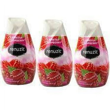 Renuzit Adjustable Solid Gel Air Freshener, Forever Raspberry, 3 Pack ...