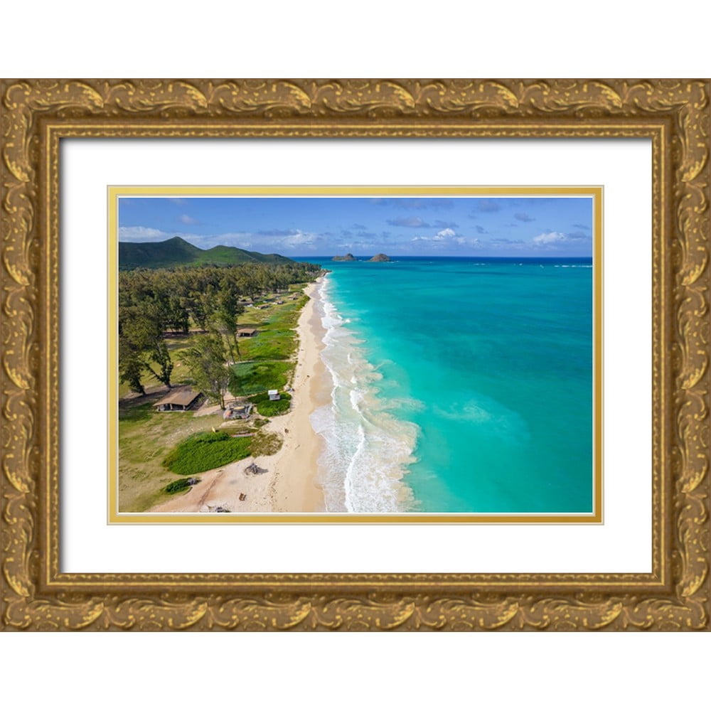 Peebles, Douglas 18x13 Gold Ornate Wood Framed with Double Matting ...