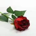 Efavormart 31" | 24pcs Red, Black Tip Long Stem Artificial Silk Roses ...