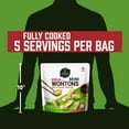 Bibigo Mini Wontons Pork & Vegetable Dumplings, 24.0 oz - Walmart.com