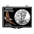 USA 2019 $1 American Silver Eagle Coin - Snap Lock Holder - Colored ...