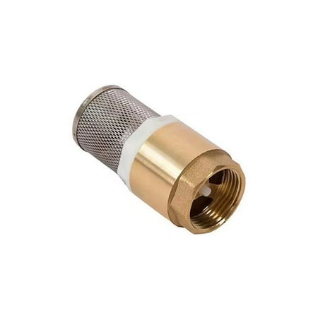 Qianli 82 x 48mm-1 Inch Filter Check Valve with Stainless Steel Filter ...