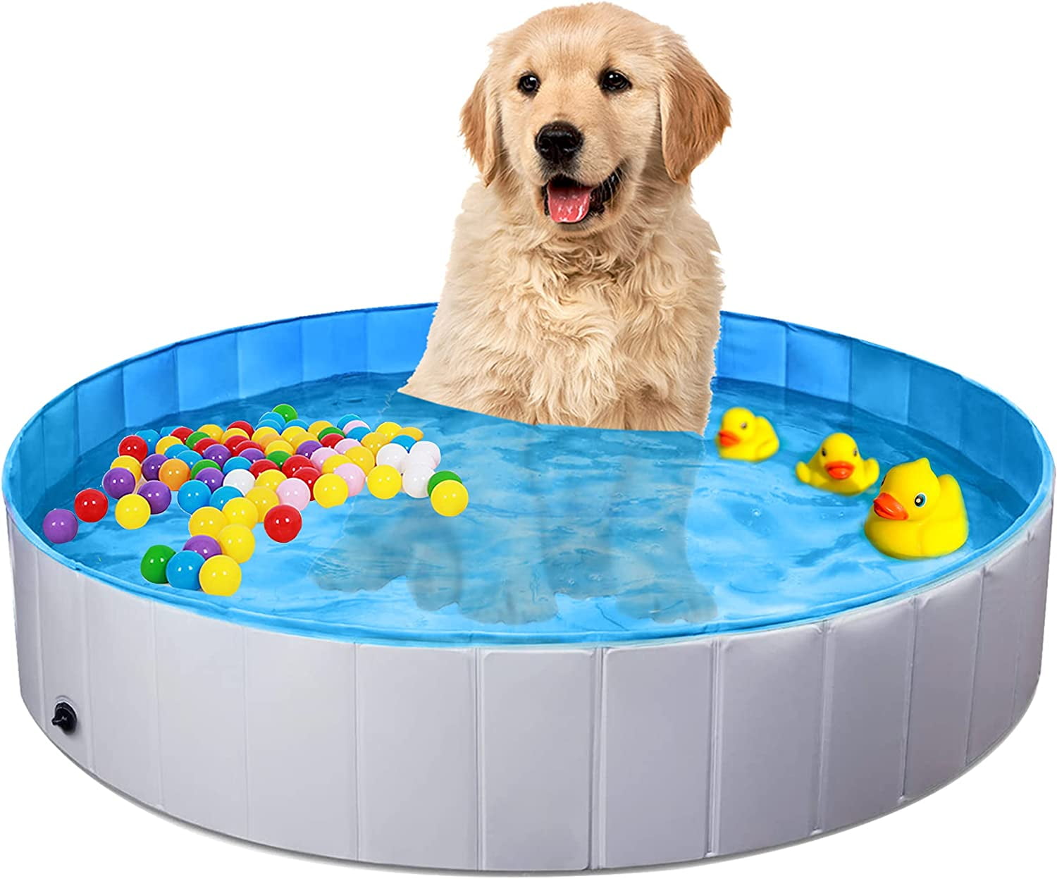 Do Dogs Pee In Swimming Pools